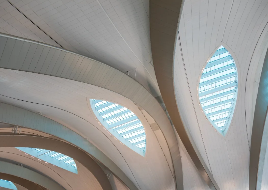 Our Expertise - White Consulting